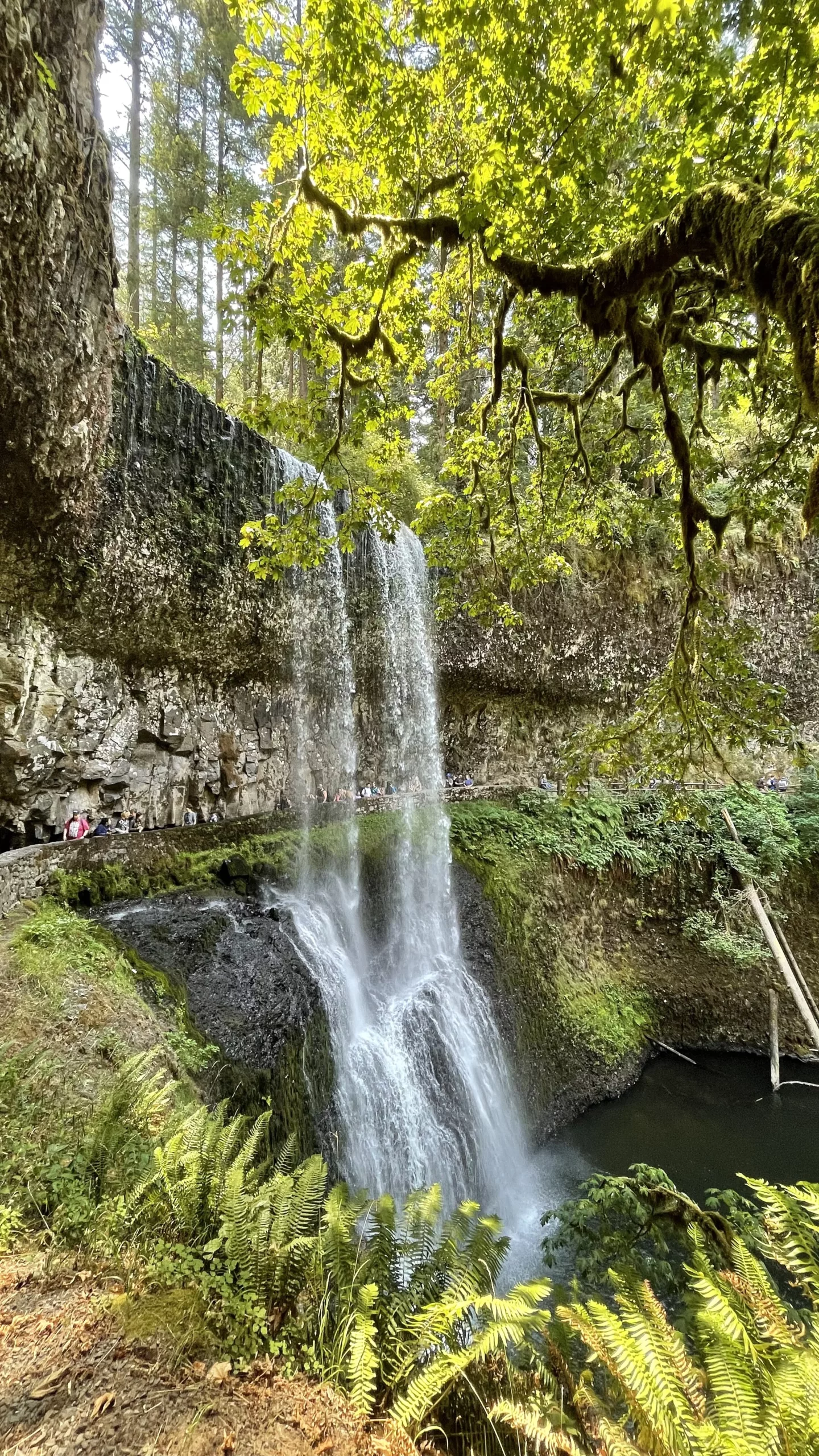 SILVER FALLS REGIONAL PARK